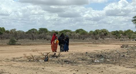 Ayuda Humanitaria En Ucrania Sequía En El Cuerno De África Cambio
