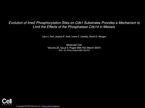 Evolution Of Ime2 Phosphorylation Sites On Cdk1 Substrates Provides A