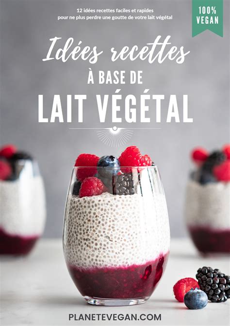 Lait Davoine Maison Très Facile Doux Et Super Onctueux