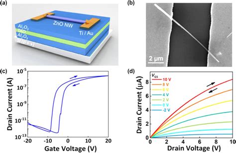 A Schematic Device Structure Of The Zno Nw Synaptic Transistor B