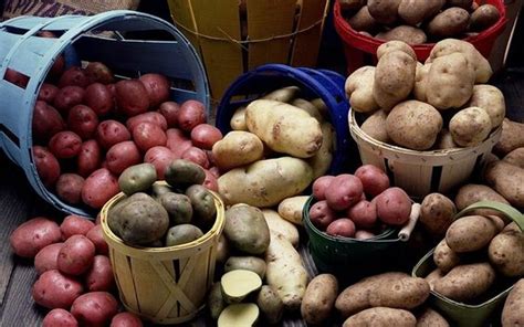 Где и как хранить овощи в квартире и доме советы места и сроки