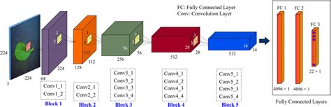 Architecture Of Vgg‐19 For Classification Of Leaves Download Scientific Diagram