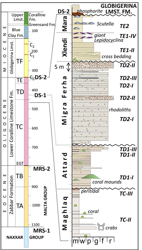Pdf Facies Depositional Environments And Drowning Of Tethyan Isolated Carbonate Platforms