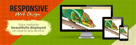 Phoenix Softech Web Designing Web Development