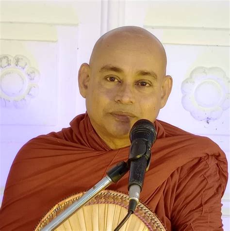 Kaushal Ranasinghe 🪷බෙල්ජියමේ තිලෝරියන් Tilorine වන වාසි ආරණ්‍යයේ
