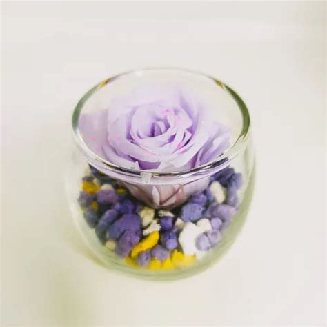 Mini Rosa Eterna Cuotas Sin Interés