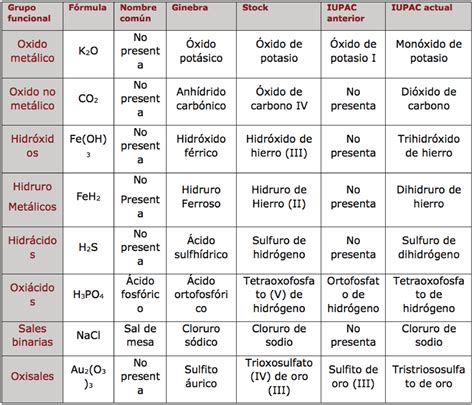 Descubre El IncreÍble Esquema Del Sistema Nervioso