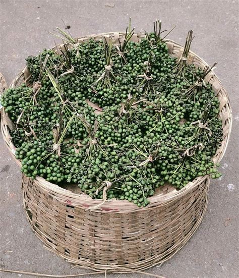 Teppal Raghuvamsha Arjun Chetty