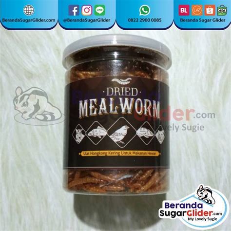 Jual Ulat Hongkong Kering UHK Dried Meal Worm Import Makanan