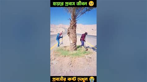 সৌদি আরব প্রবাসীদের কষ্ট দেখলে চোখে পানি চলে আসবে 😭 Youtube