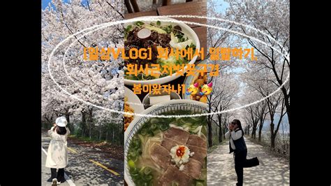 일상vlog 회사에서 일탈vlogㅣ회사근처벚꽃구경🌻🌸ㅣ성큼봄이왔쟈냐~ Vlog 영쮸로그 회사일탈 회사근처 꽃놀이