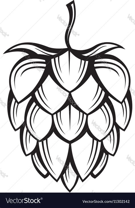 Image Of Hop Royalty Free Vector Image Vectorstock