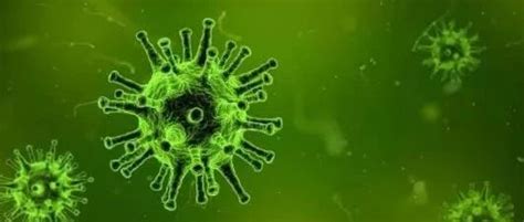 Nat Immunol：科学家成功追踪机体抵御病毒感染时的蛋白质互作机制凤凰网健康凤凰网