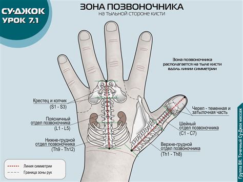 Средний безымянный палец простата фото презентация