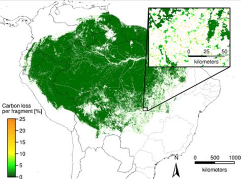 Spatial Distribution Of Tropical Forest Fragments In The Amazon Forest