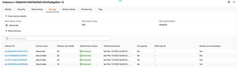 Terraform Ebsblockdevice Example Multiple Ebs Volumes Aws Ec2