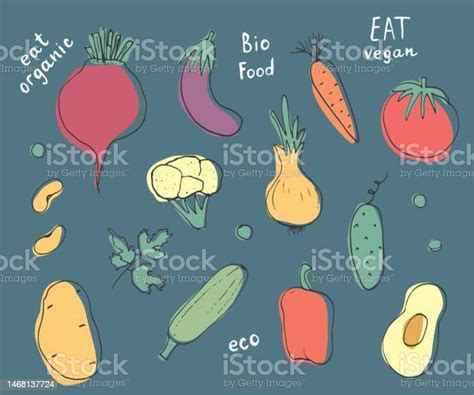 야채 완벽 한 패턴입니다 채식 건강 바이오 식품 배경 비건 유기농 에코 제품 후추 토마토 오이 당근 감자 아보카도 콩 및 완두콩 벡터 그림 0명에 대한 스톡 벡터 아트 및