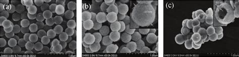 FESEM Micrographs Of A PS Microspheres Covered With Cd Precursor And