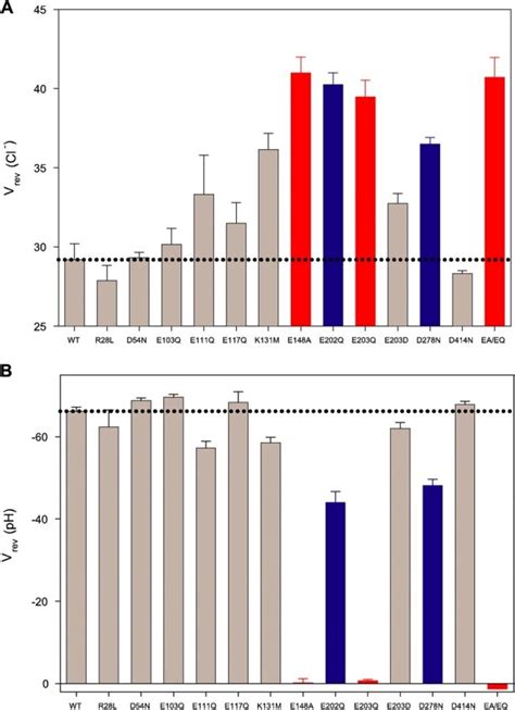 Hcl− Coupling For Clc Ec 1 Mutants Reversal Potentials Of Indicated