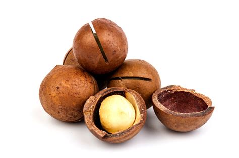 Kacang Macadam Dengan Jalur Kliping Pada Latar Belakang Putih Yang