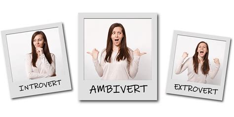 What Is An Ambivert Career Implications Flexjobs