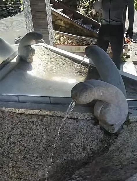 浙江一景区就“不雅水龙头一事”致歉：已组织人员第一时间拆除 极目新闻