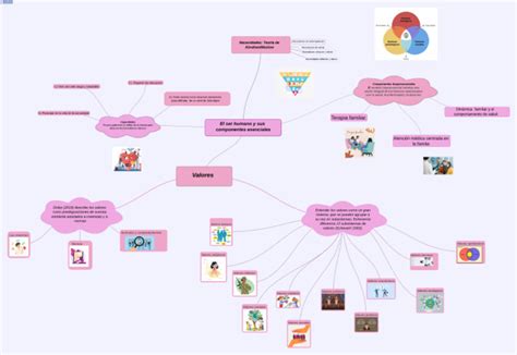 El Ser Humano Y Sus Componentes Esenciales Pdf