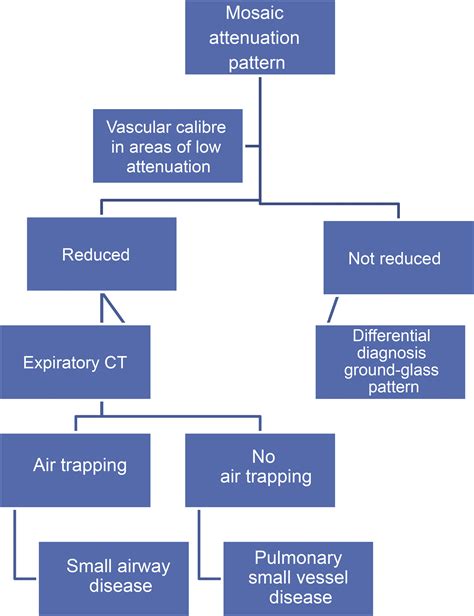 Basic Hrct Patterns In Diffuse Interstitial Lung Disease Radiología