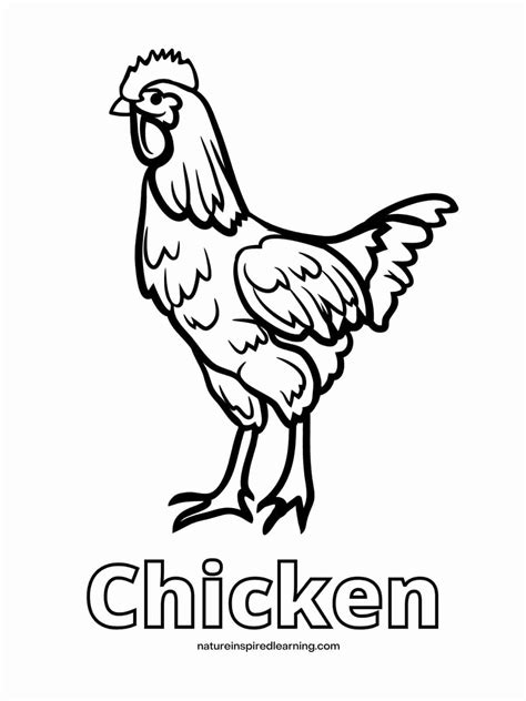 Free Printable Cute Chicken Coloring Pages Cute Chicken Coloring Page