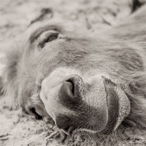 David Sally Catchpole