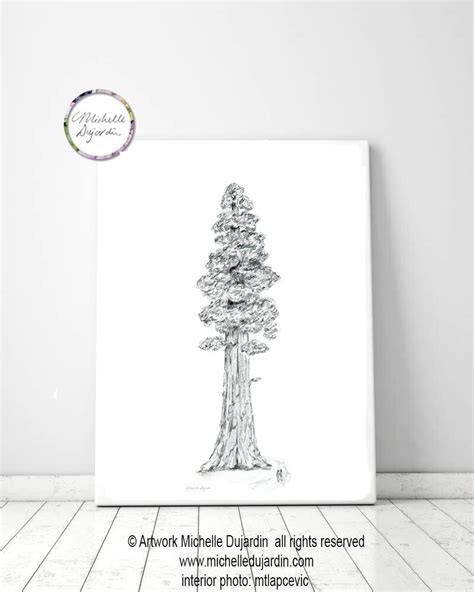 Giant Sequoia Tree Drawing