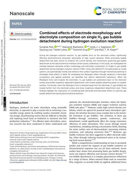 Pdf Combined Effects Of Electrode Morphology And Electrolyte Composition On Single H₂ Gas