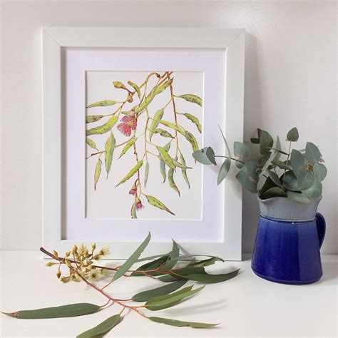 Red Flowering Eucalyptus Print A5 10x8 A4 14x11 A3 Modern Etsy Australia