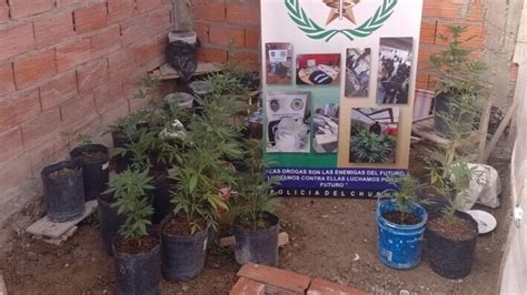 Desbaratan Banda Narco Que Vendía Drogas Por Redes Sociales