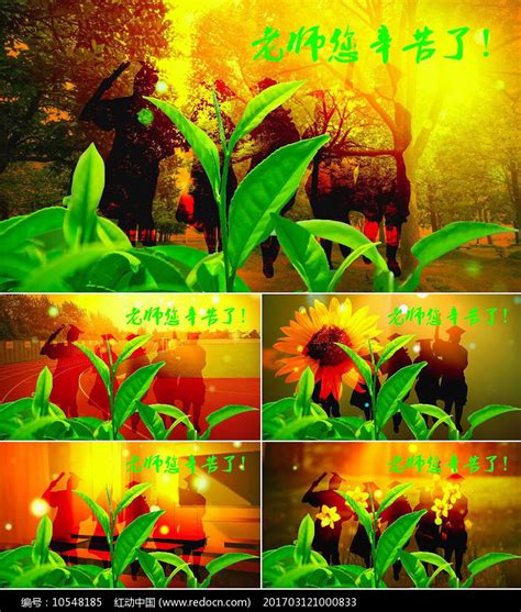 教师节歌曲在老师身边舞台背景视频素材下载红动中国