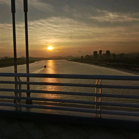 硬皮病福音！多年硬皮别灰心皮肤桂枝活动