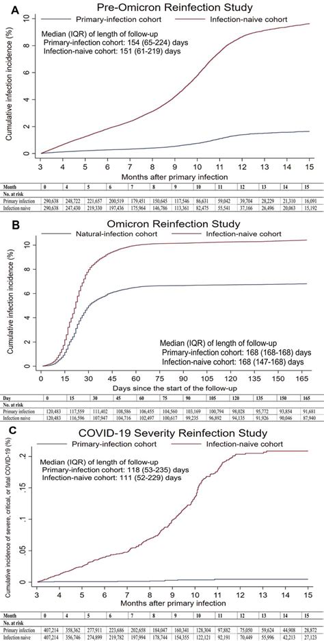 A Cumulative Incidence Of Infection In The Pre Omicron Reinfection