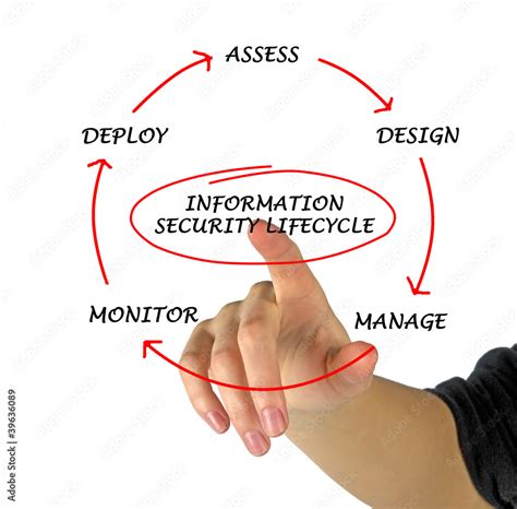 Diagram Of Information Security Lifecycle Stock Illustration Adobe Stock