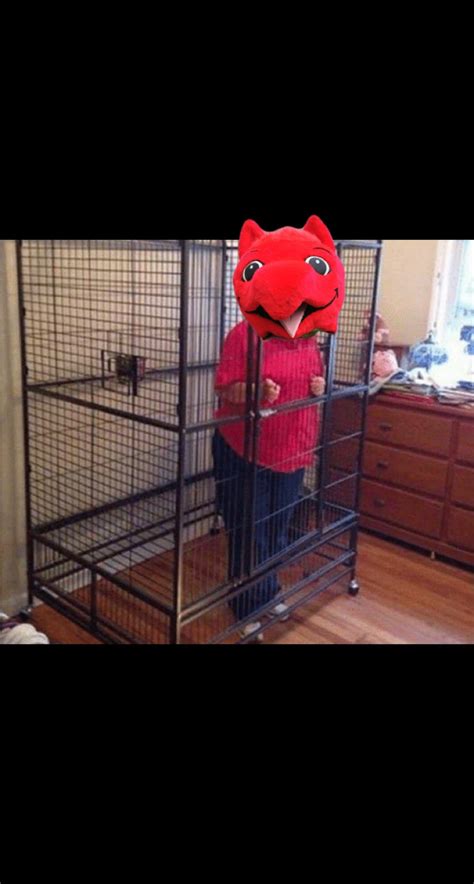 Kai Suarez Kaisuarez23 Twitter