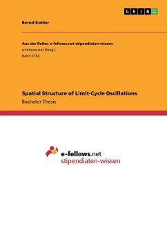 Spatial Structure of Limit Cycle Oscillations von Bernd Kohler englisches Buch bücher de