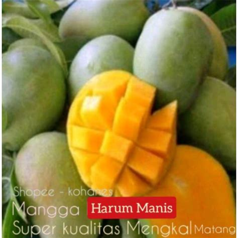 Jual Mangga Harum Manis Matang Pilihan Spesial Shopee Indonesia