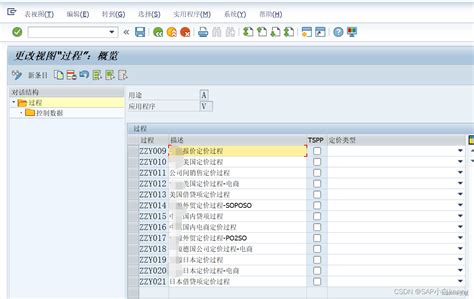 Sap 定价过程sap定价 Csdn博客
