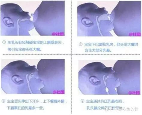 哺乳 宝宝乳头混淆不吃奶了怎么办 知乎
