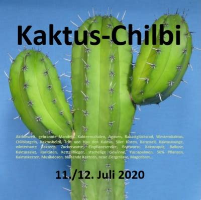 Kaktus Chilbi Bei Kakteen Gautschi Schafisheim Abgesagt Lukas Senn