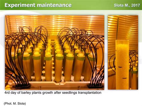Root Phenotyping System Ppt