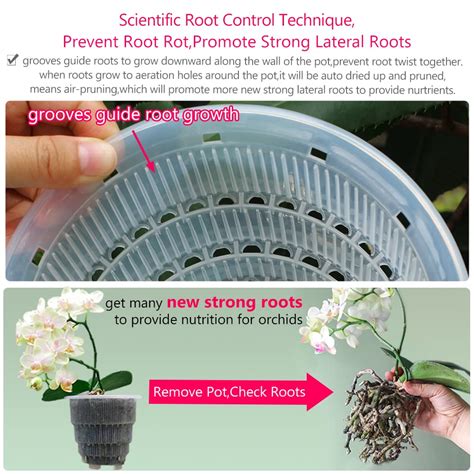 Meshpot 5 Inch Orchid Pots With Holes For Repottingset Of 2double