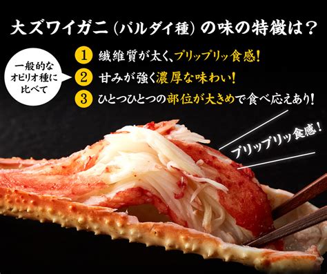 早）ボイル大ズワイガニ1．6キロバルダイ 食品通販のベルーナグルメ【公式】