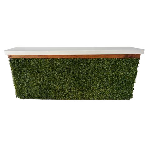 Grass Bar The Lounge