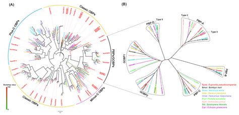 Transcriptome Profiling Of Euproctis Pseudoconspersa Reveals Candidate