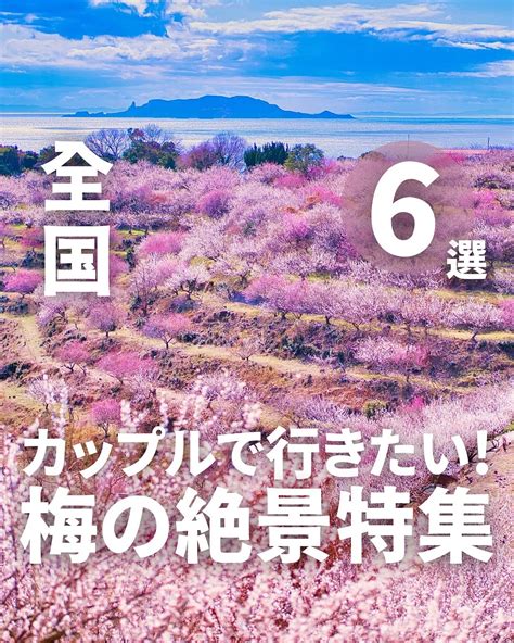 Lovetrip【カップル旅・デートスポット紹介】 Couplelovetrip👈他にも恋人と行きたいおすすめの旅行先をご紹介してい